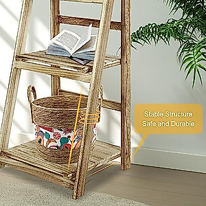 Babion Wood Ladder Shelf, 4-Tier Foldable Plant Shelf, Rustic Brown Indoor Plant Stand, Storage Rack Plant Stand for Home, Bedroom, Bathroom, Office, Industrial Style, Wooden Frame
