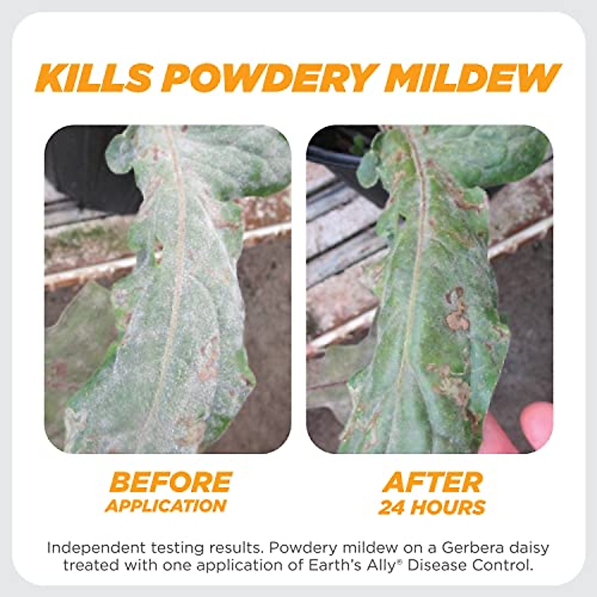 Earth’s Ally Plant Care Bundle – Insecticide and Fungicide Spray