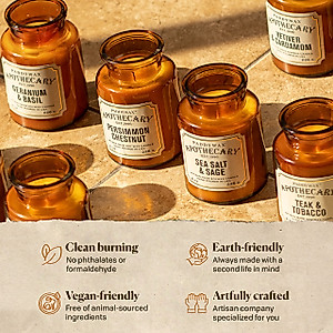 Paddywax Apothecary Artisan Hand-Poured Scented Candle, 8-Ounce, Persimmon Chestnut
