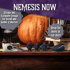 Nemesis Now Edgar Allan Poe's Nevermore Raven Skull Trinket Holder, Gothic Jewelry Dish, Hand-Painted Resin, 17cm