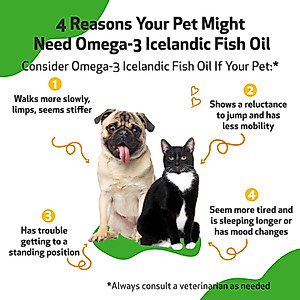 Pet Wellbeing Omega-3 Daily EFA Fish Oil for Dogs & Cats - Healthy Skin, Coat, Mobility, Joints, Heart Health - EPA, DHA - 8 fl oz (236 ml)