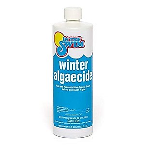 In The Swim Winter Swimming Pool Algaecide - 1 Quart