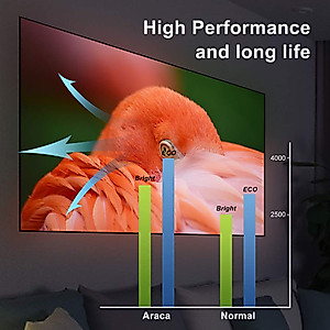 Araca 5J.JEE05.001 (OEM Original Bulb) Projector Lamp with Housing for Benq HT2050 HT2150ST HT2050A HT3050 W1110 W1210ST W2000 W2000+ Replacement Lamp