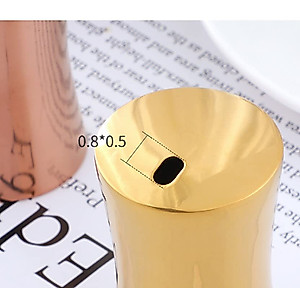 Winecraft Shiny Silver Metal Toothpick Holder - Tooth Pick Dispenser - Decorative Kitchen Display (Silver)