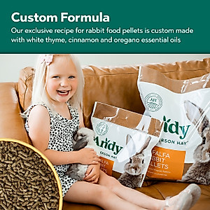 Andy Alfalfa Hay Pellets, Premium Bunny Food for Rabbits, Alfalfa Pellets for Pregnant Bunnies, Young Rabbit Food, Rich in Calcium and Protein,10 lbs Bag