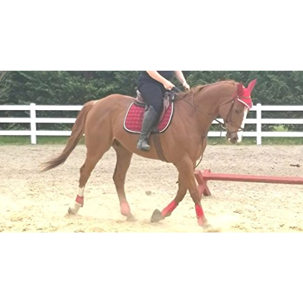 Lift Sports New Horse English Saddle Pad Set Matching Fly Bonnet Veil Ear Net Polyester Hand Made Crochet Full Size Equestrian Shows Tack