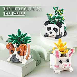 DOLBLOCK Succulent Bonsai Botanical Collection Decor Building Set Architecture Model Kit with Flower Plant Animal for Adults Creative DIY Gifts Toys
