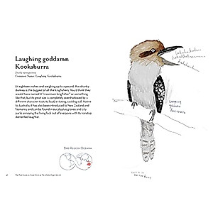 The Field Guide to Dumb Birds of the Whole Stupid World