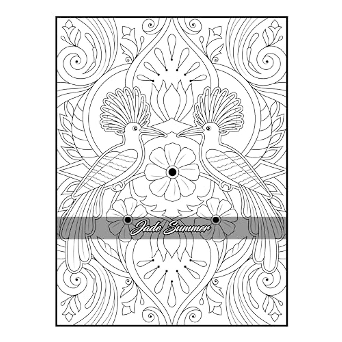 100 Amazing Patterns: An Adult Coloring Book with Fun, Easy, and Relaxing Coloring Pages