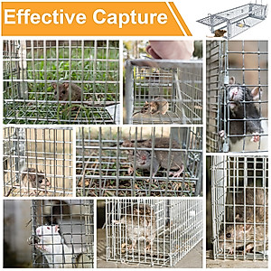 Humane Rat Trap, Large 2-Door Mouse Traps That Work for Indoor Home and Outdoor, Small Rodent Chipmunk Squirrel Trap and Other Live Animal Cage Catch and Release