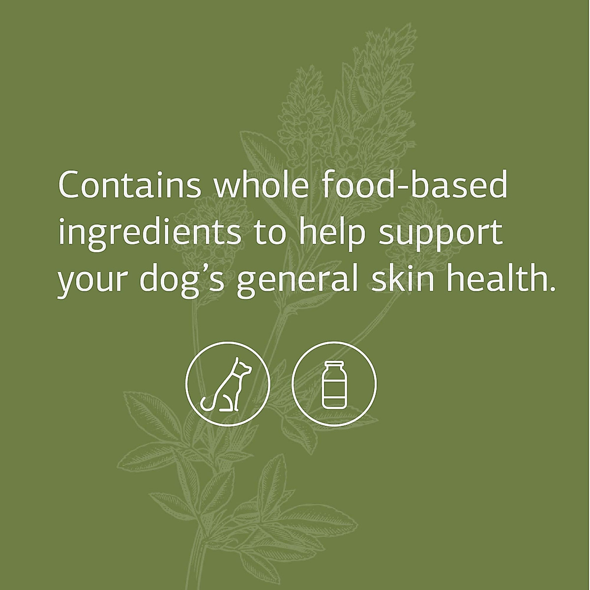 Standard Process Canine Dermal Support - Skin & Adrenal Gland Support Supplement - Comprehensive Skin Health Support Supplement for Dogs - Daily Immune & Liver Support Powder - 30 g