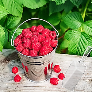 12 Pcs Galvanized Bucket with 12 Pcs Clear Plastic Ice Scoop 20.3 oz Metal Beer Bucket with Handle Metal Pail Mini Toy Container 16 Pcs Blackboard Sticker for Candy Popcorn Snacks Party Supplies