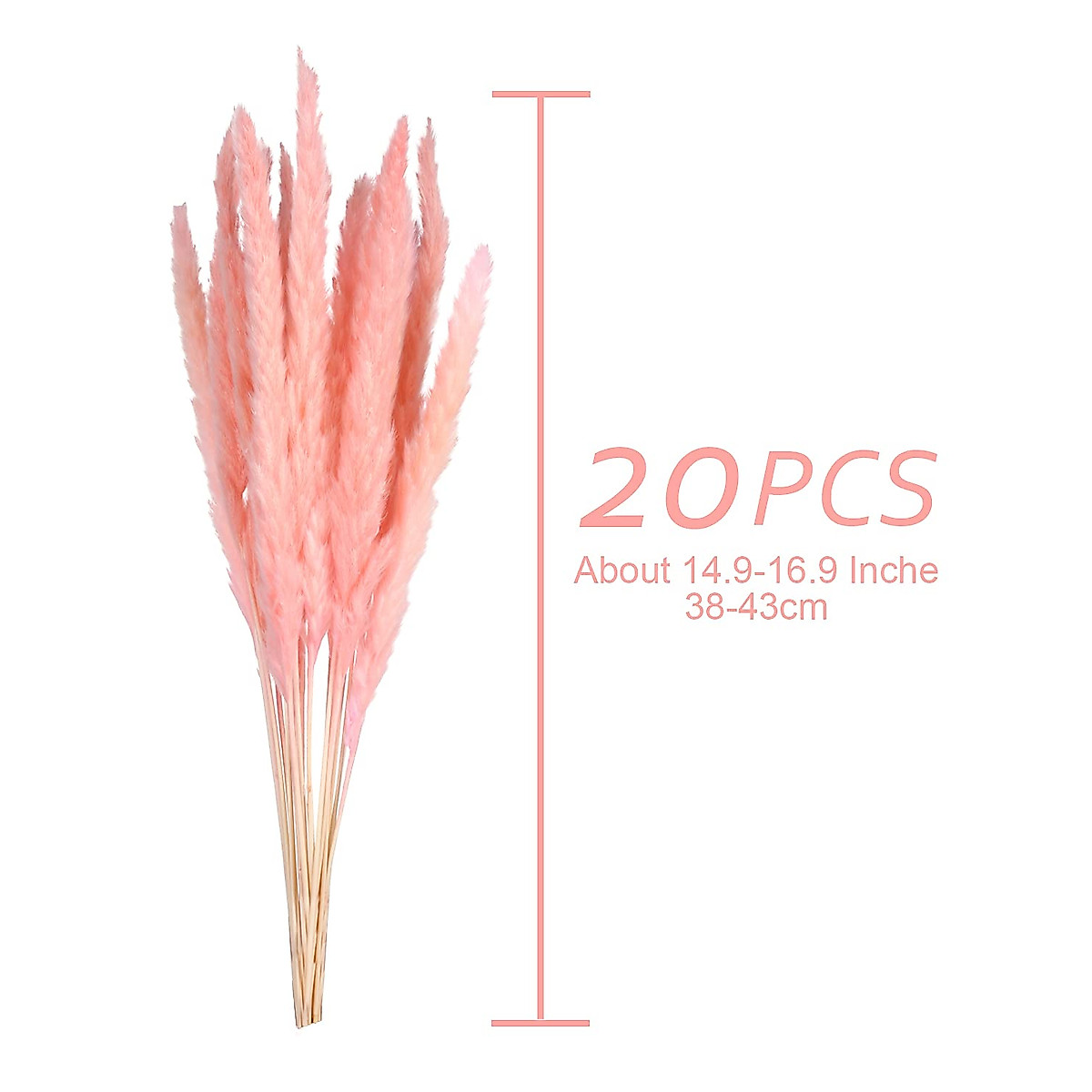 Omldggr 20 Pieces Natural Dried Pampas Grass Natural Dried Flowers Dried Reed Grass for Home Garden Office Party Wedding Decor(Pink)