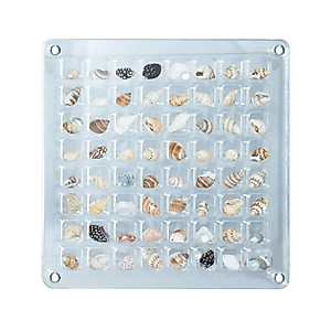 Magnetic Seashell Display Box, 64 Grids Seashell Storage Box, Clear Acrylic Magnetic Seashell Display Box - Decorative Storage Case for Seashells and Starfish.