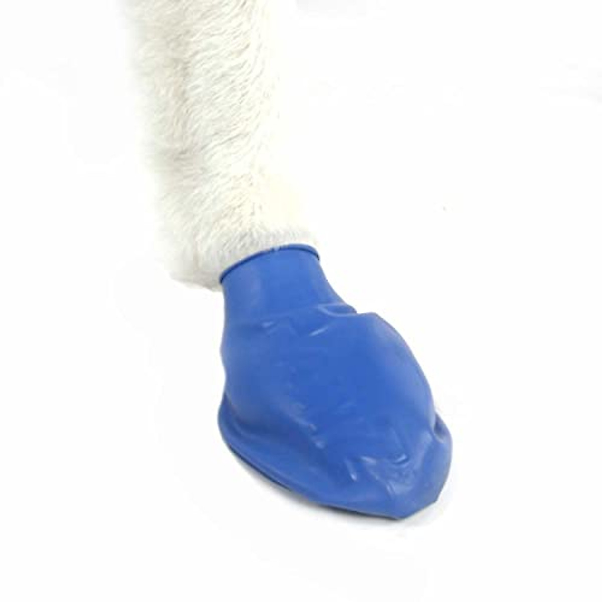 PawZ Dog Boots - Rubber Dog Booties - Waterproof Snow Boots for Dogs - Paw Protection for Dogs - 12 Dog Shoes per Pack (Blue, Medium)
