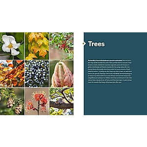 The Northeast Native Plant Primer: 235 Plants for an Earth-Friendly Garden