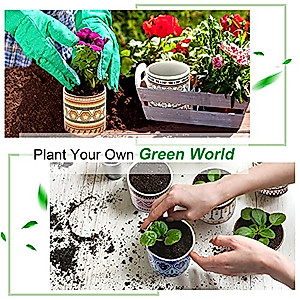 Feoxialy Succulent Plant Pots 6 Pack with Drainage 3.1 Inch Cylinder Flower Pots Small Ceramic Pots for Plants Indoor&Outdoor Garden Flower Planter Tray for All House Plants/Succulents/Flowers/Cactus