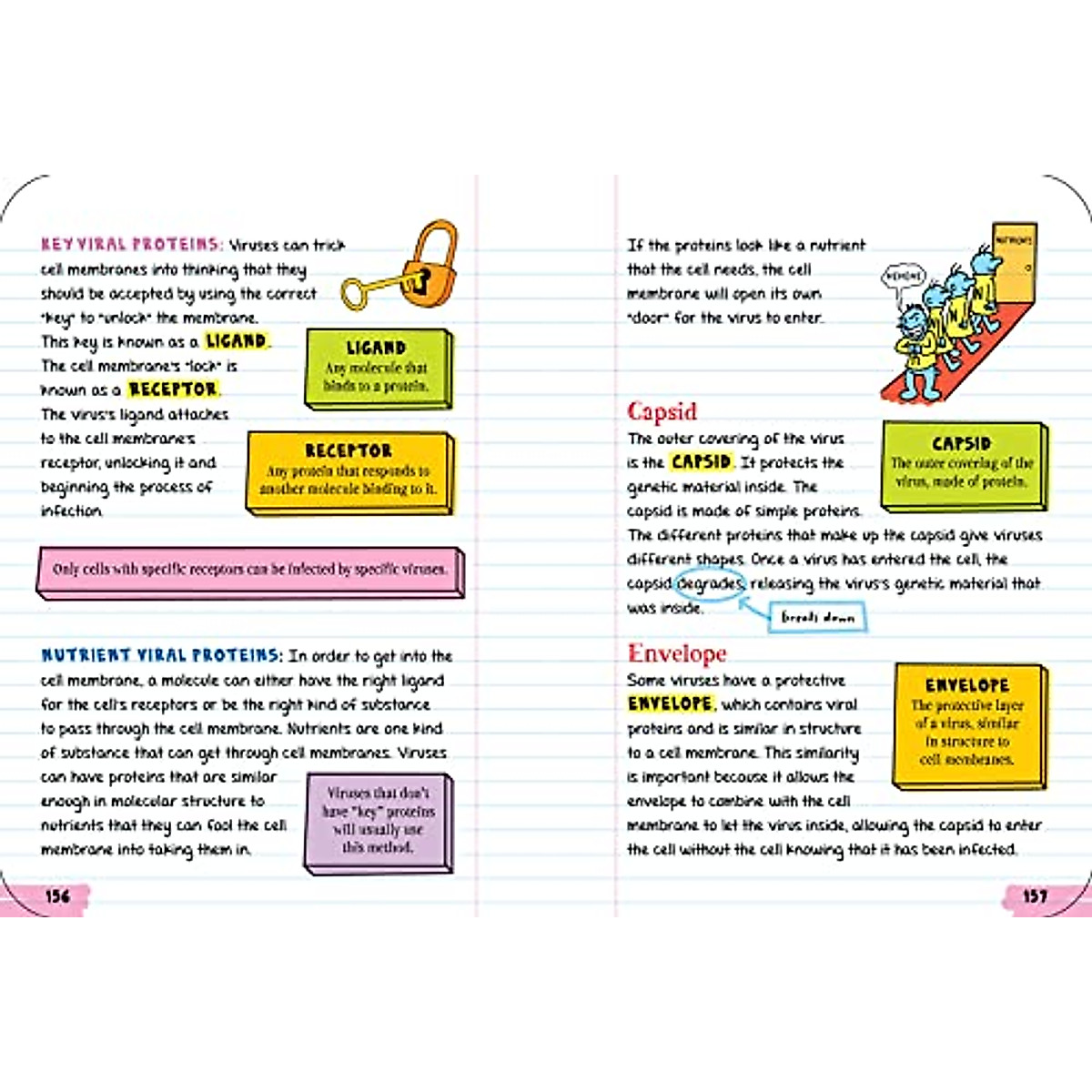 Workman Publishing Company - To Ace Biology in One Big Fat Notebook