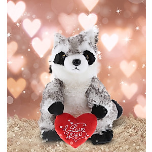 DolliBu I Love You Valentine Plush Raccoon - Cute Stuffed Animal with Red Heart and Name Personalization Gift for Valentines Day, Birthday, Anniversary, Romantic Date - 9 Inches