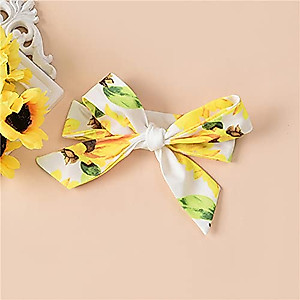 Honykids Toddler Baby Girls Sister Matching Outfits Little Sister Big Sister Clothes Set