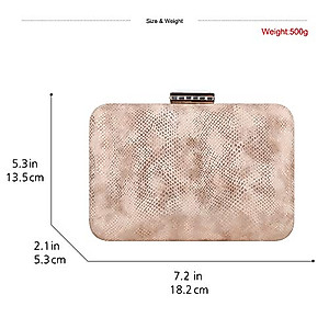 Fawziya Crystal Evening Bags And Clutches Snakeskin Clutch-Champagne