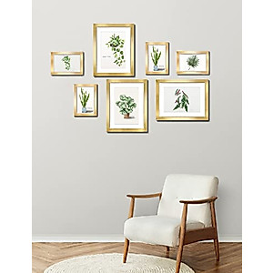 Annecy 5x7 Picture Frames (4 Pack, Gold), Simple Designed Photo Frame, For Pictures 5x7 for Wall or Table Display, Classic Simple Home Office Decor
