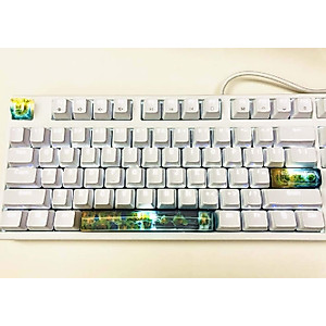 Handmade SA Profile 6.25u Spacebar Backlit Resin Keycap 2.25x Enter R1/ESC Translucent Keyset Hawaii Beach Switch for Cherry RGB MX Mechanical Gaming Keyboards (6.25u Spacebar(1 pcs))