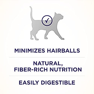 Purina ONE Natural Cat Food for Hairball Control, +PLUS Hairball Formula - 3.5 lb. Bag