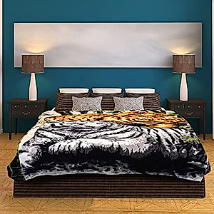Tiger Blanket Mink Blanket Korean Blanket Heavy Blankets Queen Size Tiger Throw Blanket Korean Mink Blanket Tiger Statue Animal Blanket Bed Warm Blanket Full Queen Animal Blankets Mexican Blanket