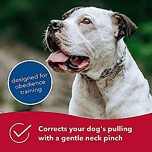 Herm SPRENGER Ultra-Plus Prong Dog Training Collar, 2.25 mm x 13" Neck Size, 2.25 mm x 16" Chain Length, Steel Chrome Plated Dog Prong Collar, Pinch Collar for Dogs, Dog Correction Collar