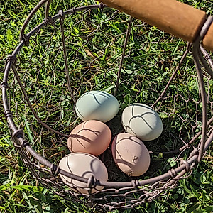 CVHOMEDECO. Round Chicken Wire Egg Basket Fruit Basket with Wooden Handle Primitives Vintage Gathering Basket. Rusty