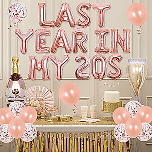 29th Birthday Decorations for Women Rose Gold - Last Year In My 20s Banner, Cheers to 29 Years Old Birthday Decor with Champagne Goblet Balloon, Number 29 Foil Balloons, Happy Birthday Sash