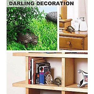 G Ganen Cast Iron Key Hider- Outdoor | Indoor Decoration- Garden Accessory- for Key | Ear Studs | Ring | Paper Clip- 1 Pcs (Turtle)