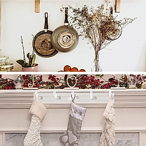 1 Pcs Acrylic Wall Mounted Necklaces Organizer with 6 Hooks Clear Adhesive Jewelry Wall Mount Hanging Hooks for Necklaces Bracelets Rings Chains