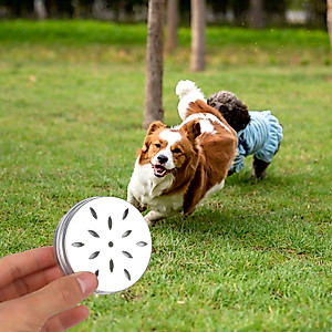 VAIPI 20 Pack Dog Scent Work Tins Dog Nose Training Containers Kit with 50 Magnetic Dots 2 OZ Aluminum Smell Training Box with Hollow Lids Round Refrigerator Deodorant Box with Screw Lid