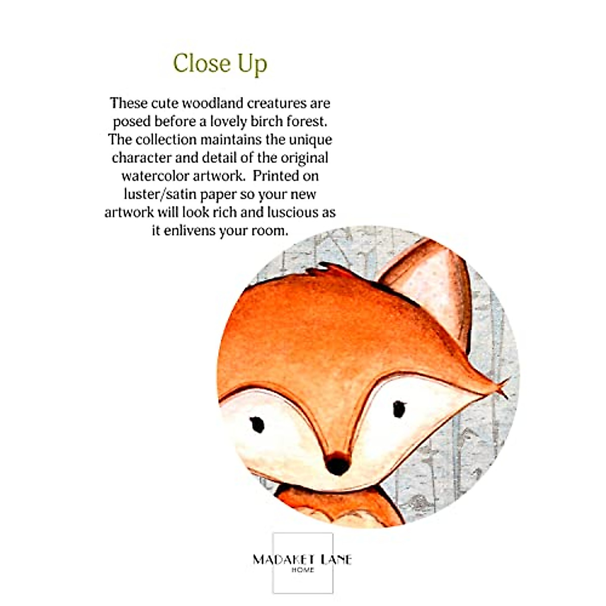 Woodland Nursery Decor for Boys - Animal Pictures Wall Art - Baby Room Prints - Bear Deer Fox Raccoon Rabbit Squirrel - SET OF 6-8x10 - UNFRAMED