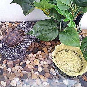 Ailindany Reptile Bowl Tortoise Water Dish Food Bowl Feeders Water Dish Resin Made for Amphibians Gecko Snakes Lizard Chameleon