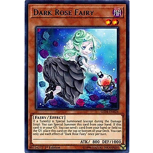Yu-Gi-Oh! - Dark Rose Fairy - LED4-EN024 - Legendary Duelists: Sisters of The Rose - 1st Edition - Rare