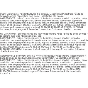 Burt's Bees Gifts, 3 Moisturizing Lip Shimmer Products, Petal Kisses Kissable Color Spring Set - Peony, Fig & Watermelon (3 Pack)