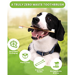 Lingtoolator Toothbrush - 6 Pack Bamboo Toothbrush for Dogs Cats - Soft Bristles - Gentle Pet Toothbrush for Easy Dog Teeth Brushing Den