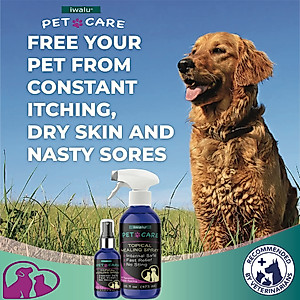 Allergy Medication For Dog Cat Itchy Skin Relief Dog Skin And Coat Supplement Anti Itch Relief Anti Hot Spot Paw Cleaner Soother Treatment Best Dog Moisturizer For Dry Skin Pet Wound Care Spray (16oz)