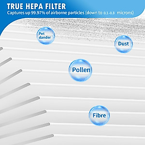 FURCIELOS HP201 HP202 True HEPA Filter Compatible with Shark HP201 HP202 HP301 HP302 UA205 AP1000 HC501 HC502 Air Purifier MAX, Part # HE2FKBAS, HE2FKBASMB,2-Pack