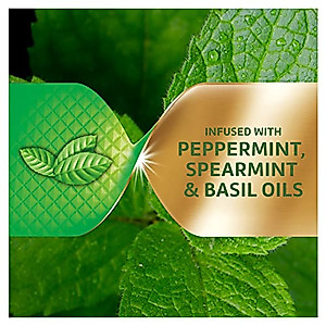 Super Poli-Grip Power Max Power Hold + Fresh Denture Cream, Premium Peppermint - 2.2 oz x 4