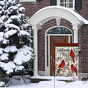 Dyrenson Welcome Winter Cardinals Red Birds Berries Decorative Garden Flag, Snowy Forest Farmhouse Yard Outside Decorations Outdoor Small Decor 12x18