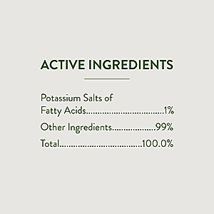 Garden Safe 32 oz. Insecticidal Soap Ready-to-Use