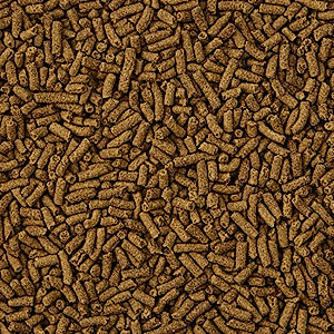 Kaytee Ferret Diet -- Turkey 4 lb