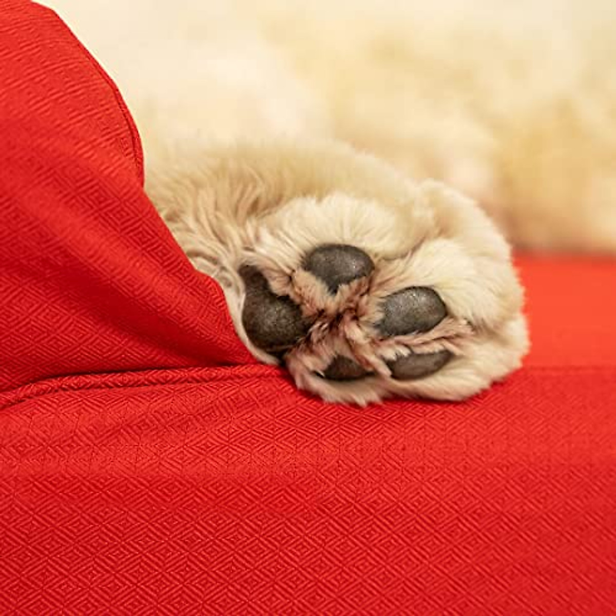 Omlet Memory Foam Bolster Dog Bed | Easy to Clean, Removable and Machine Washable Cover | Orthopaedic | Stylish Geometric Weave Fabric (Large, Christmas Cherry Red)