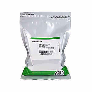 Purple Vienna Kohlrabi Seeds: 1 Lb - Non-GMO Vegetable Garden & Micro Greens Growing Seed