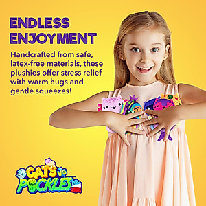 Cats vs Pickles 1pc Mystery Bags Wave 6 inch CvP Chonk Bean Filled Plushies