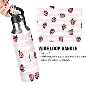 xigua Ladybug Water Bottle Double Walled Stainless Steel Leak Proof Thermo Flask for Sports Gym Cycling Outdoor,20 oz.